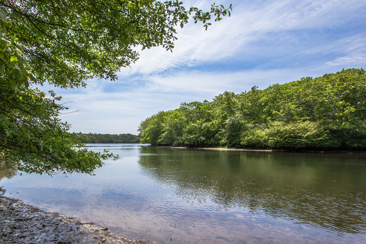 LINEM~ - Edgartown Vacation Rental