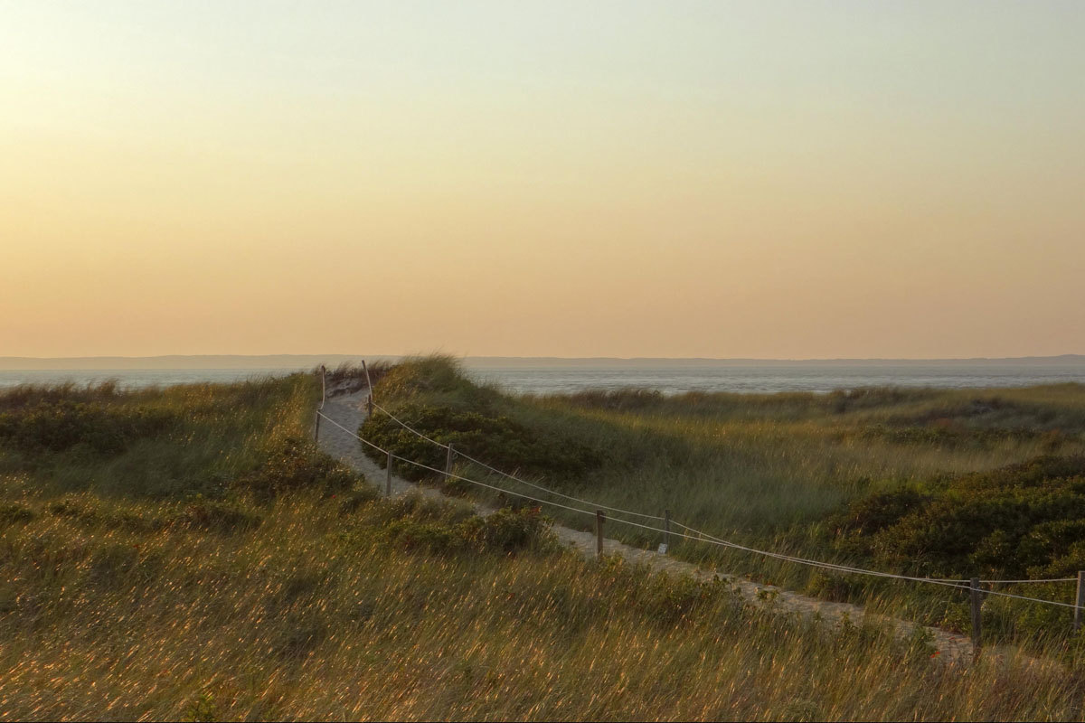 West Tisbury - Martha's Vineyard | Martha's Vineyard Vacation Rentals